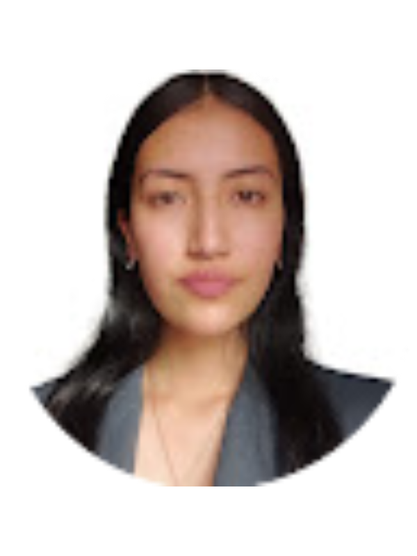 KAROL DAYANNA SAAVEDRA PIRATOBA's profile and public books | StoryJumper