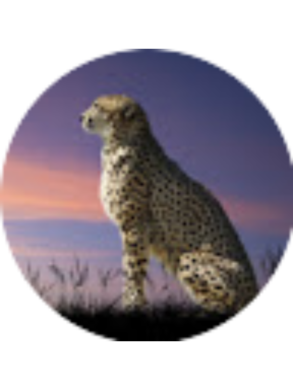 CHELSEA LUO's books on StoryJumper