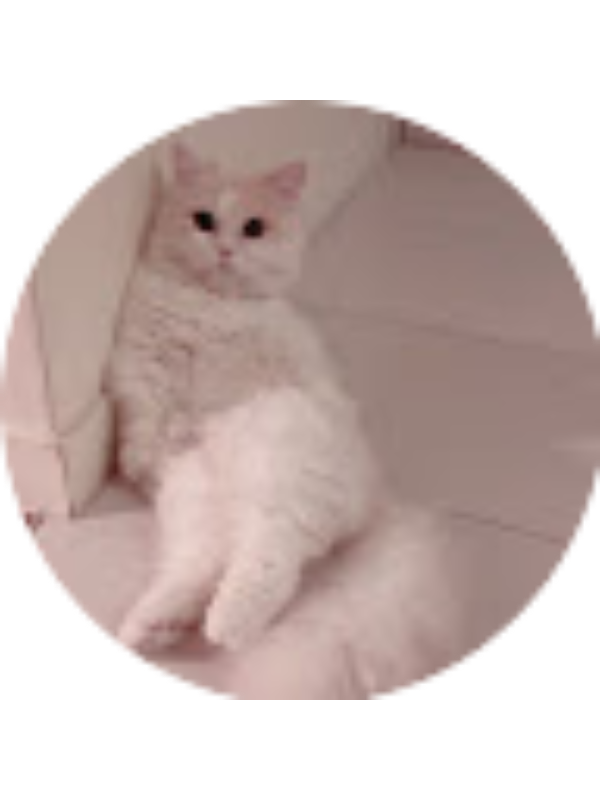 Kathlene Smith's profile and public books | StoryJumper