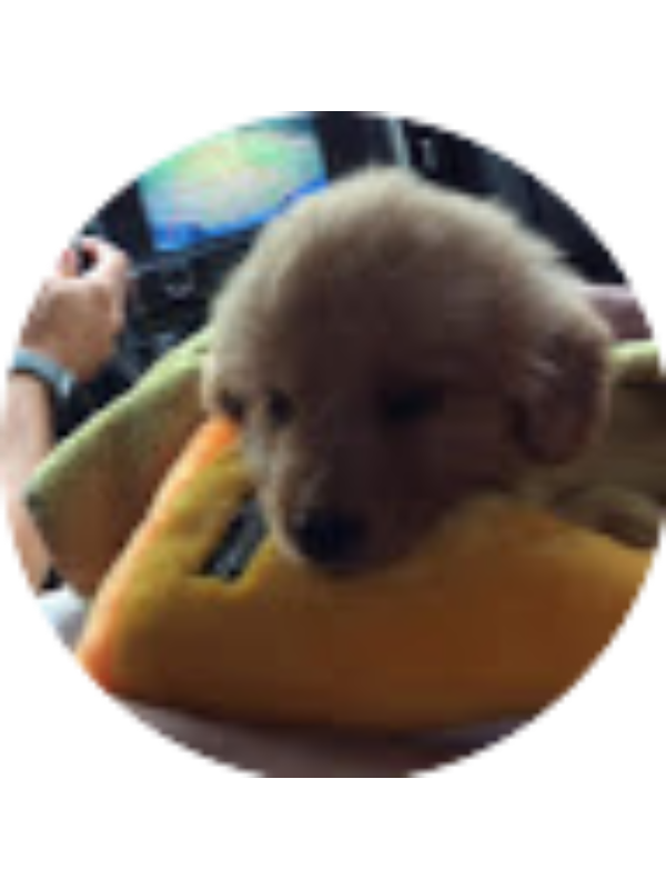 Isla Thompson's profile and public books | StoryJumper