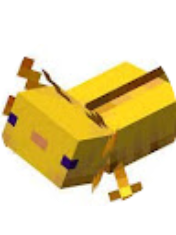 Lyle Lee's Author Profile | StoryJumper