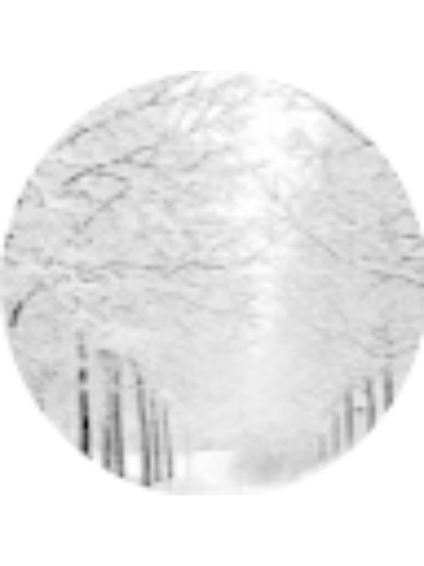 Emily Dotson's profile and public books | StoryJumper