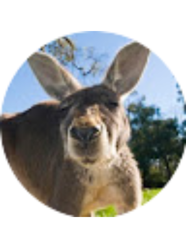 James Roth's profile and public books | StoryJumper