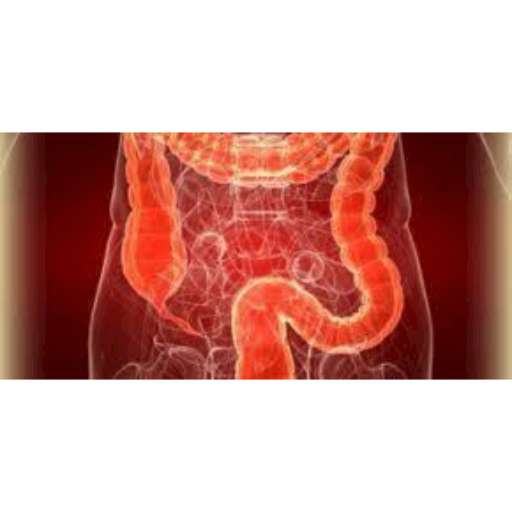 "The Digestive System" - Free stories online. Create books for kids ...